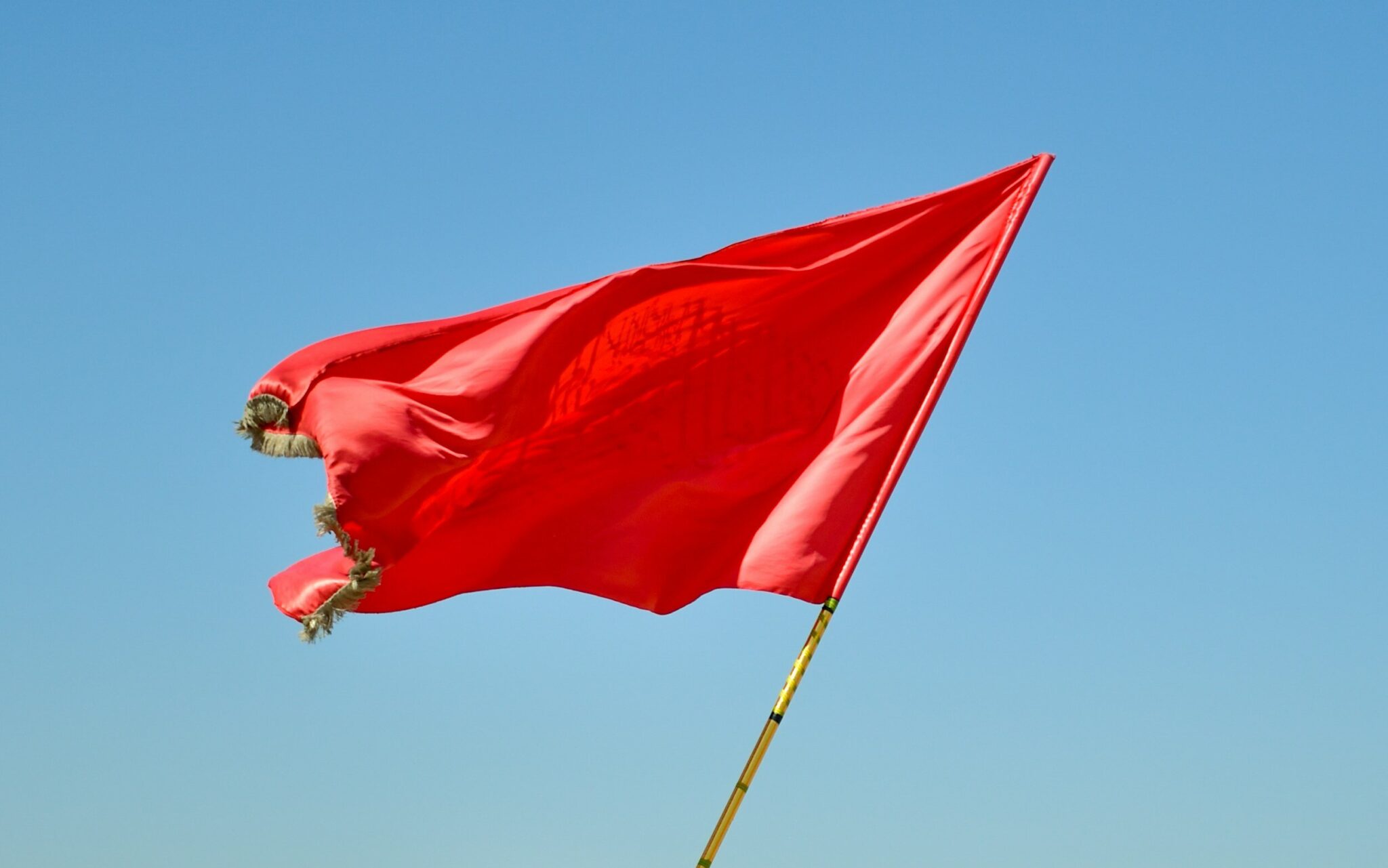 Reporting Rental Income: IRS Red Flags for Property Owners - REI Hub